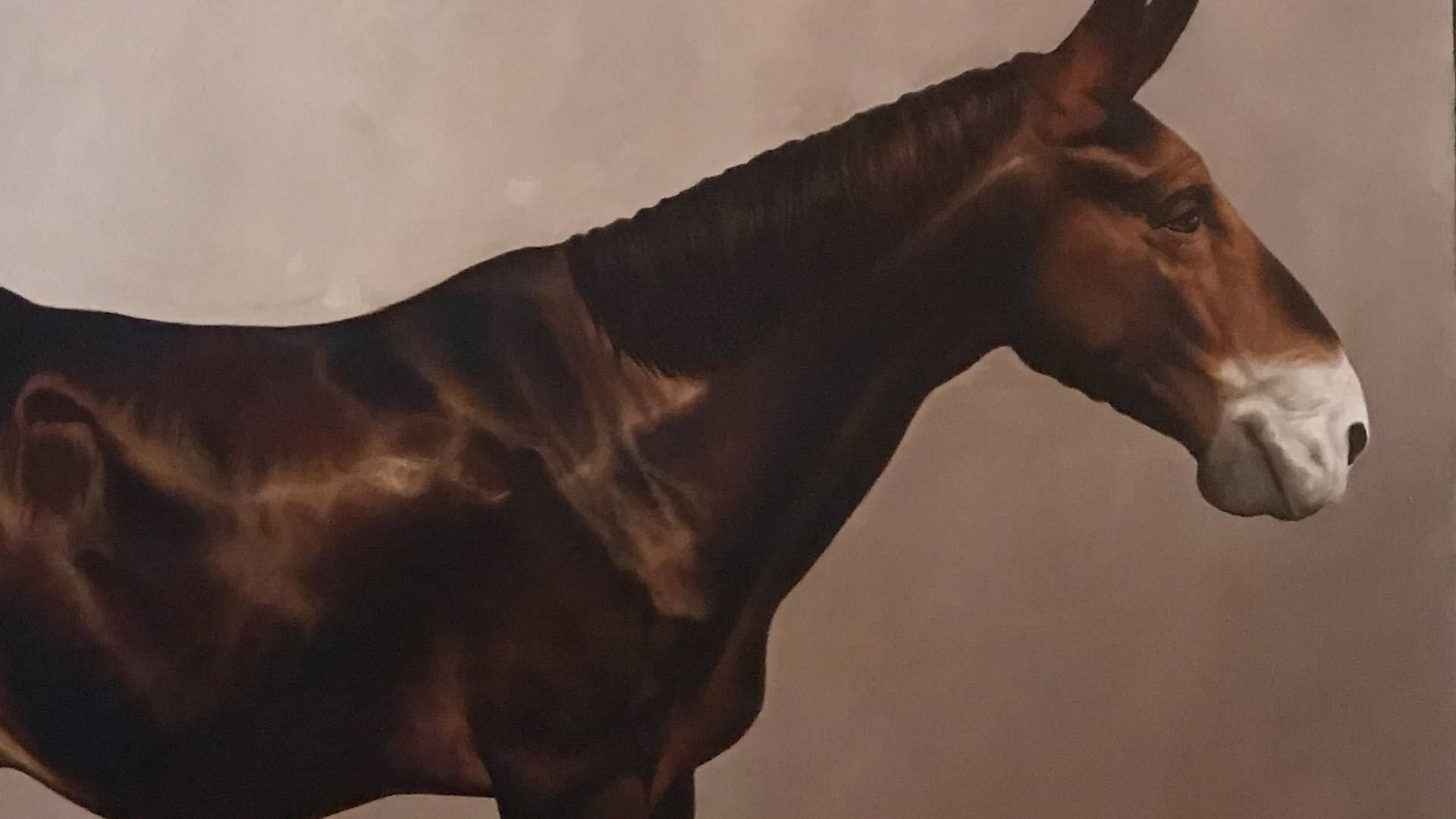 Edward A. Butler - Edward A Butler