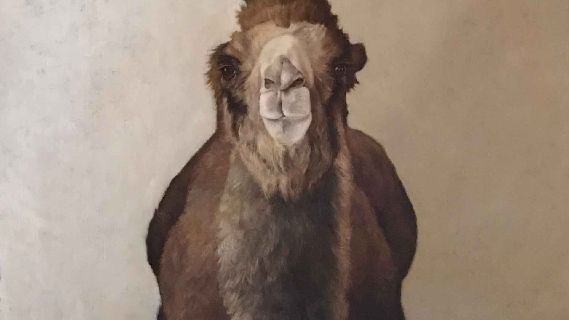 Edward A. Butler - Edward A Butler